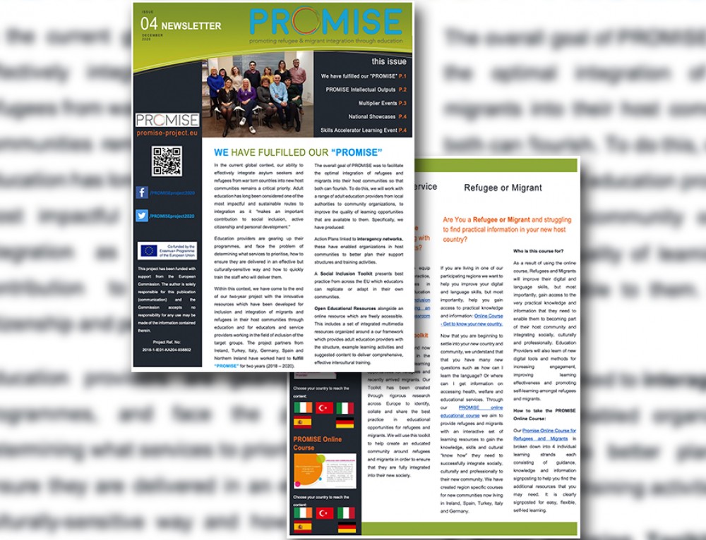 THE IMMIGRATION DESK - Promise Project